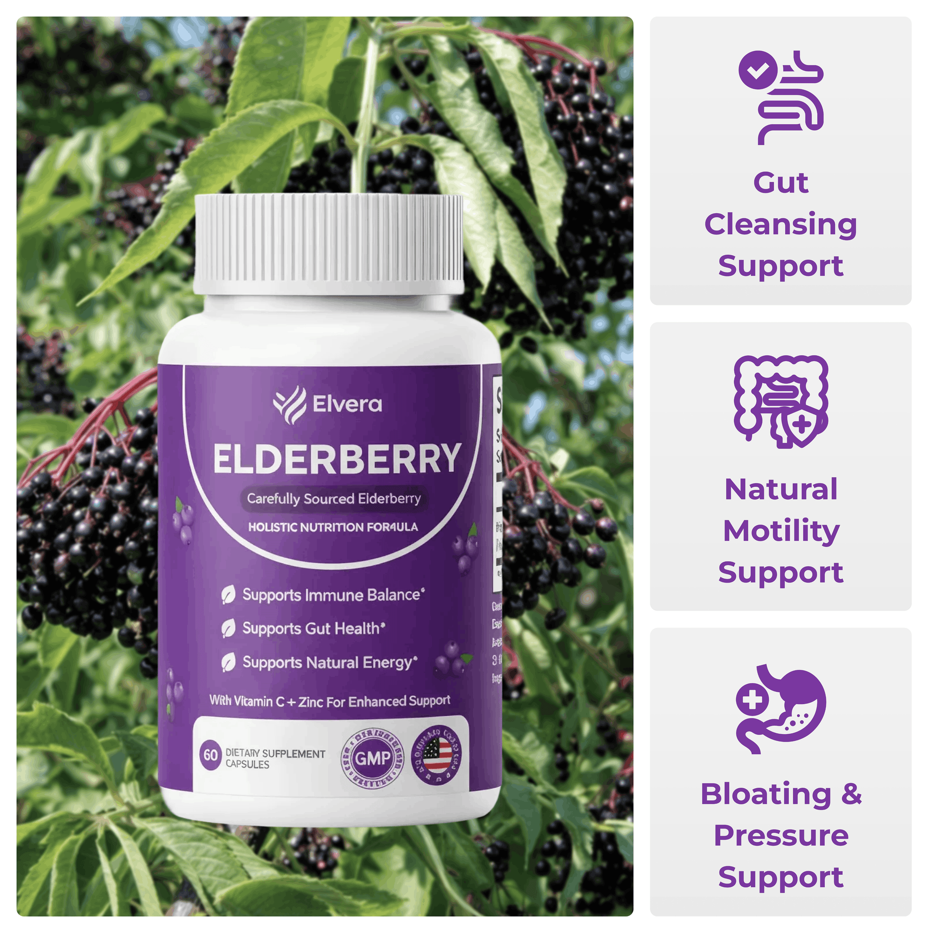 Products – Elvera